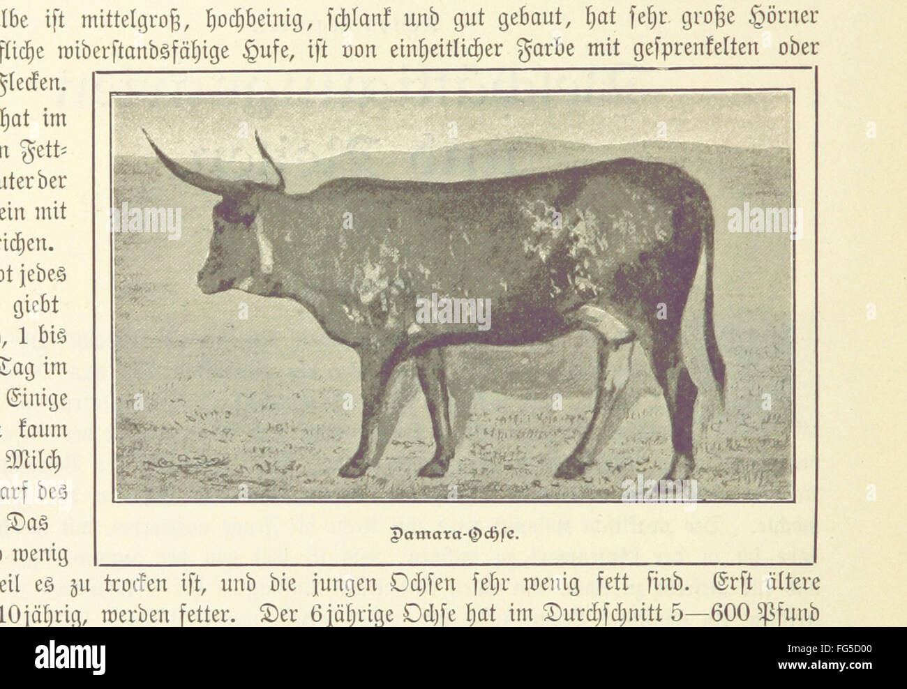 'Nama und Damara' is a historical account focused on the Nama and ...