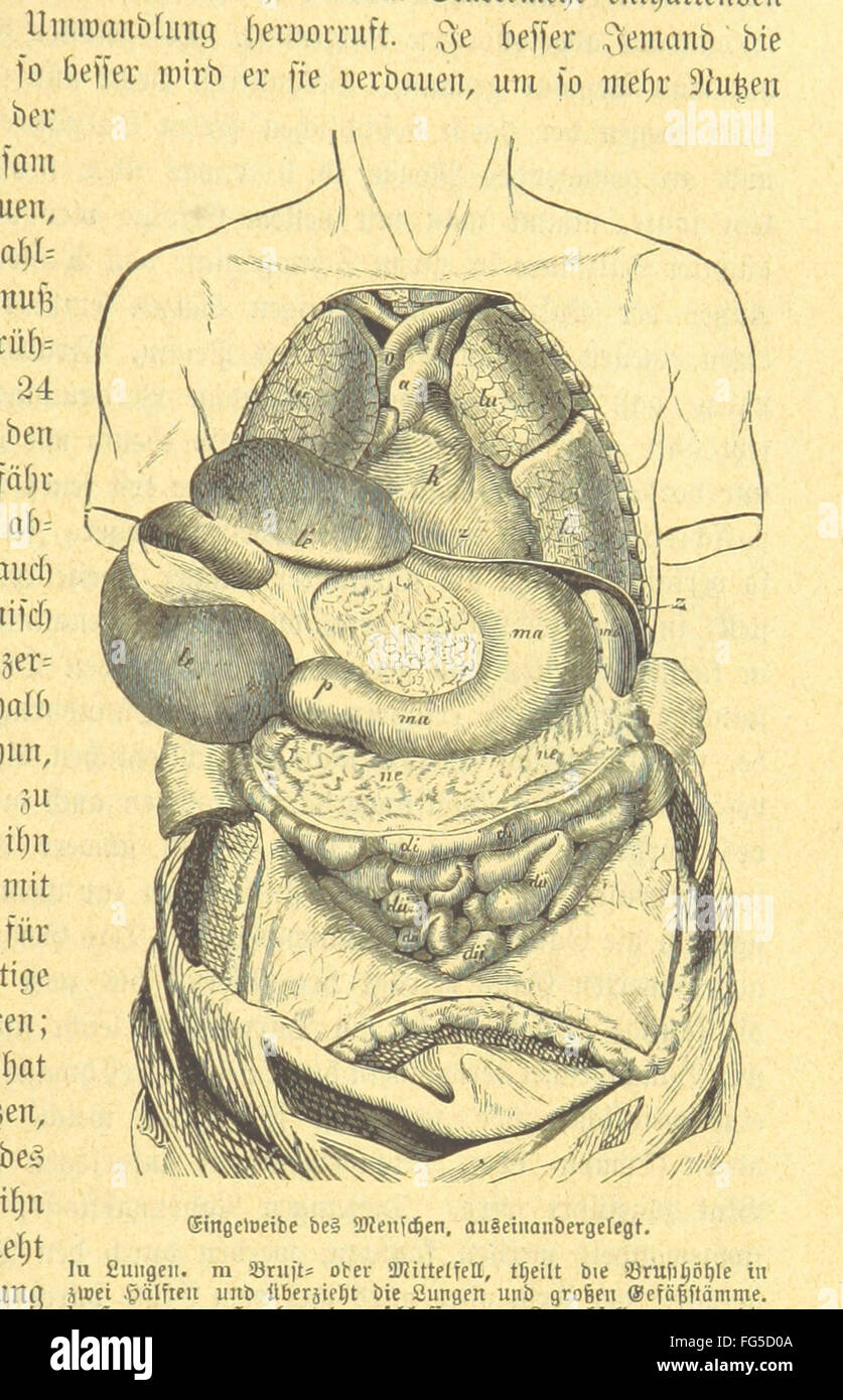 This vintage German book, 'The Human and His Races', explores human ...