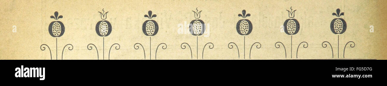 This Czech vintage book, 'Na uïsvite? noveï doby' covers the events of ...