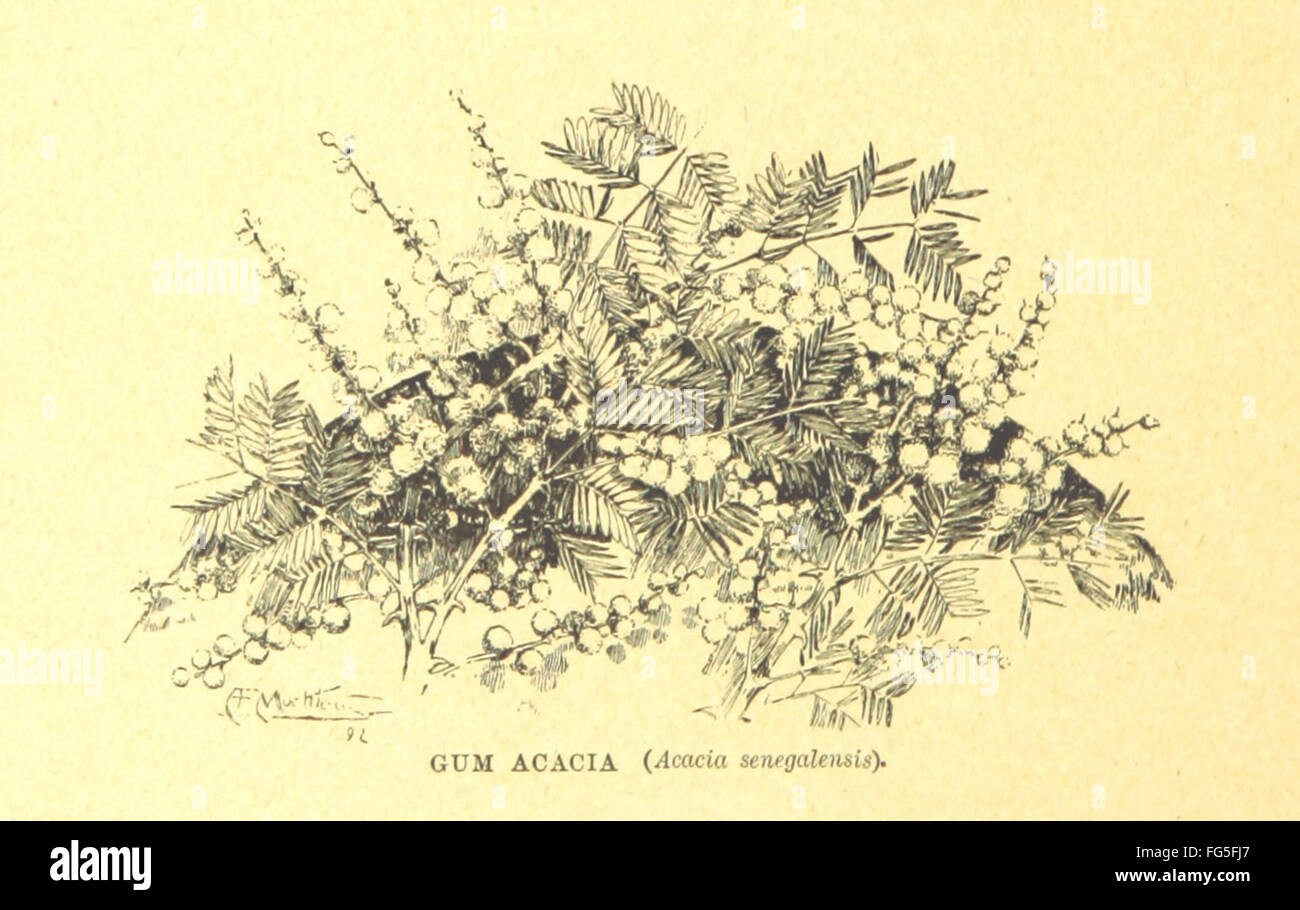 'The Story of Africa and its Explorers' provides a historical overview ...