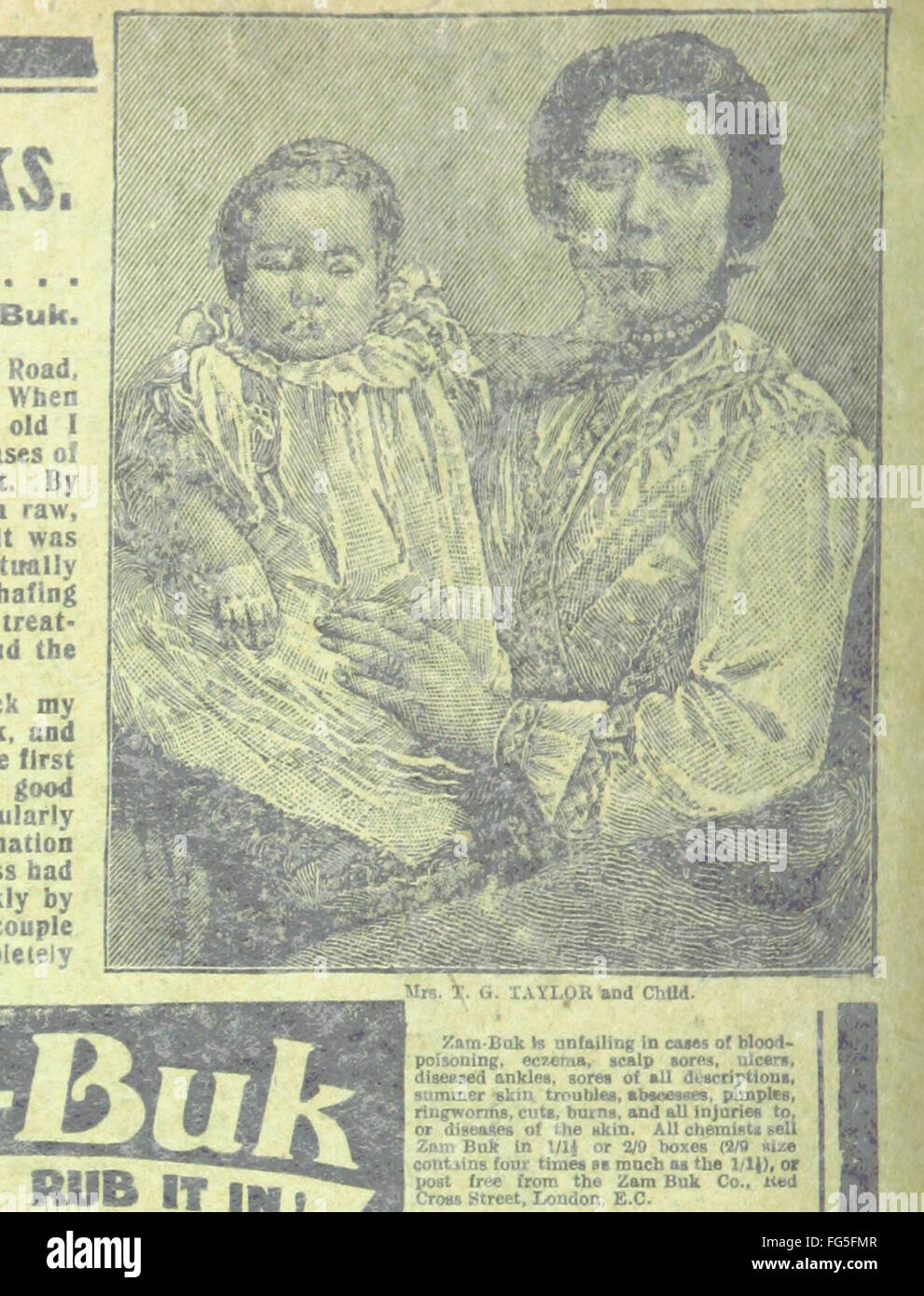 This book compiles captivating life stories of famous individuals ...