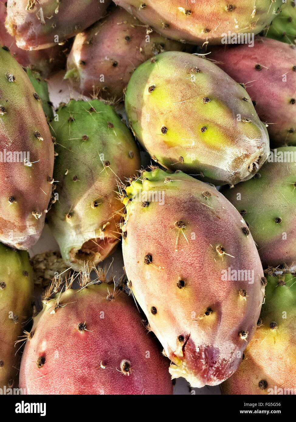 Indian fig hi-res stock photography and images - Alamy