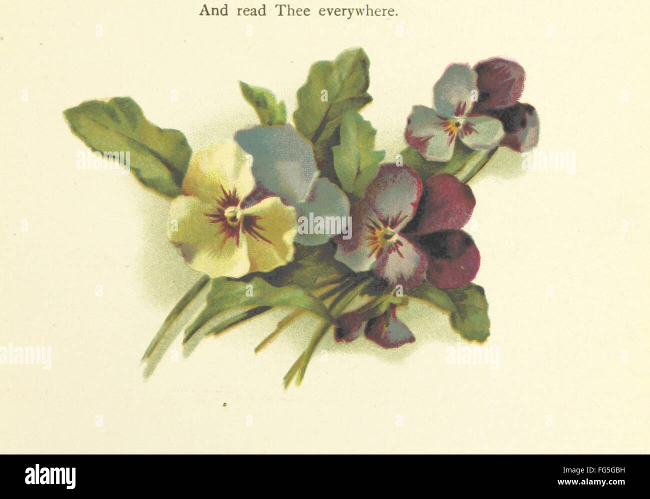 'Precious Thoughts from Keble' is a collection of inspirational ...