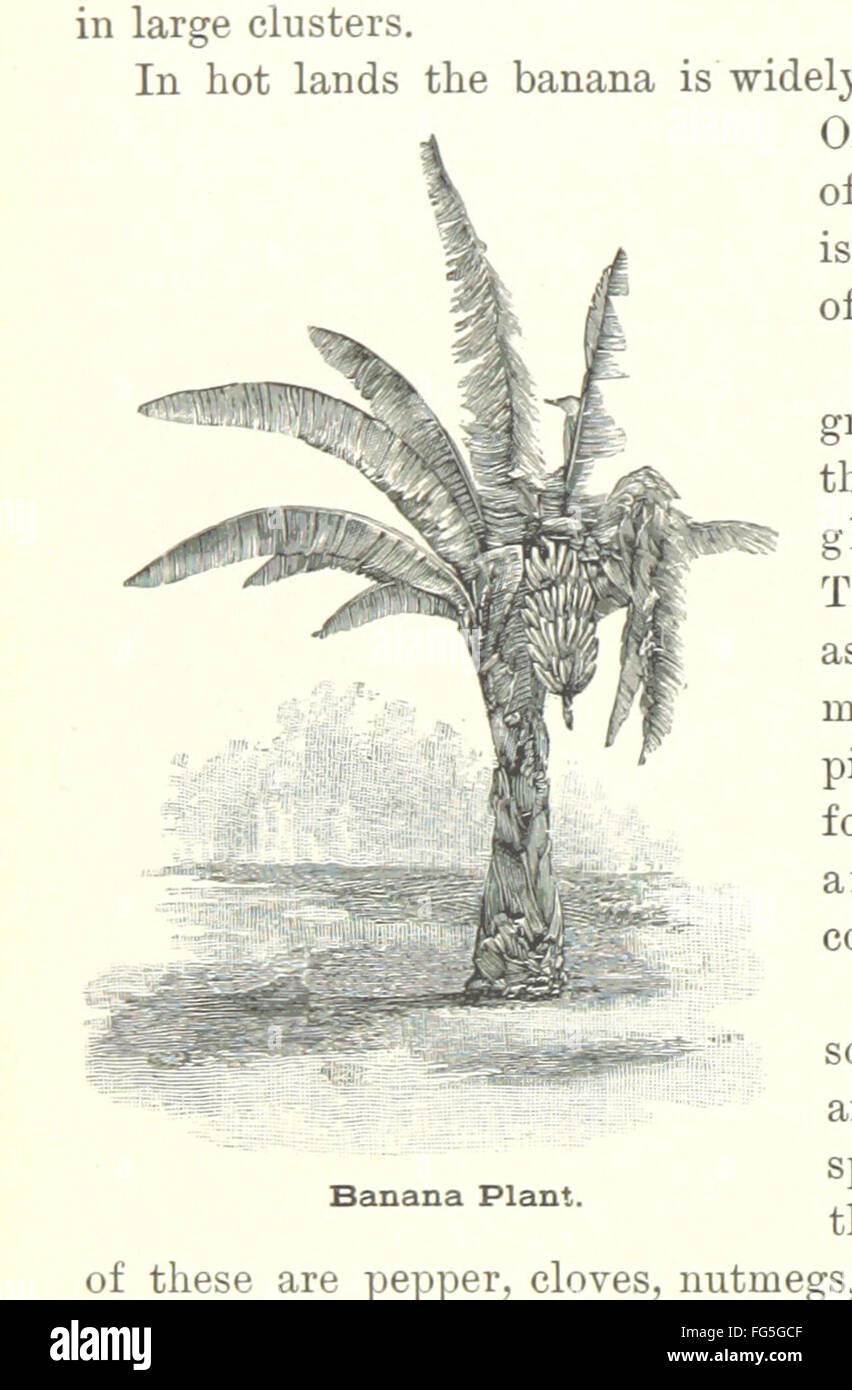 22 of 'Elements of Geography. [With illustrations.]' Stock Photo - Alamy