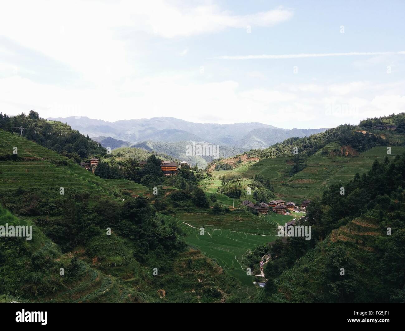 Longji rice hi-res stock photography and images - Alamy