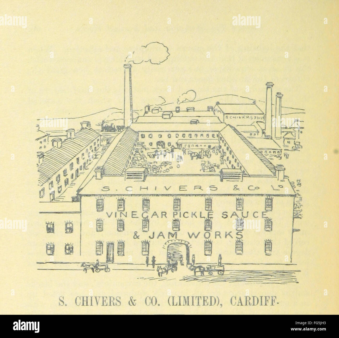 This illustrated handbook provides a comprehensive guide to Cardiff ...