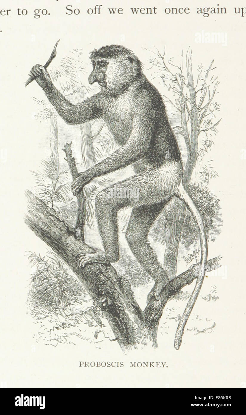 Ancient polynesia map hi-res stock photography and images - Alamy