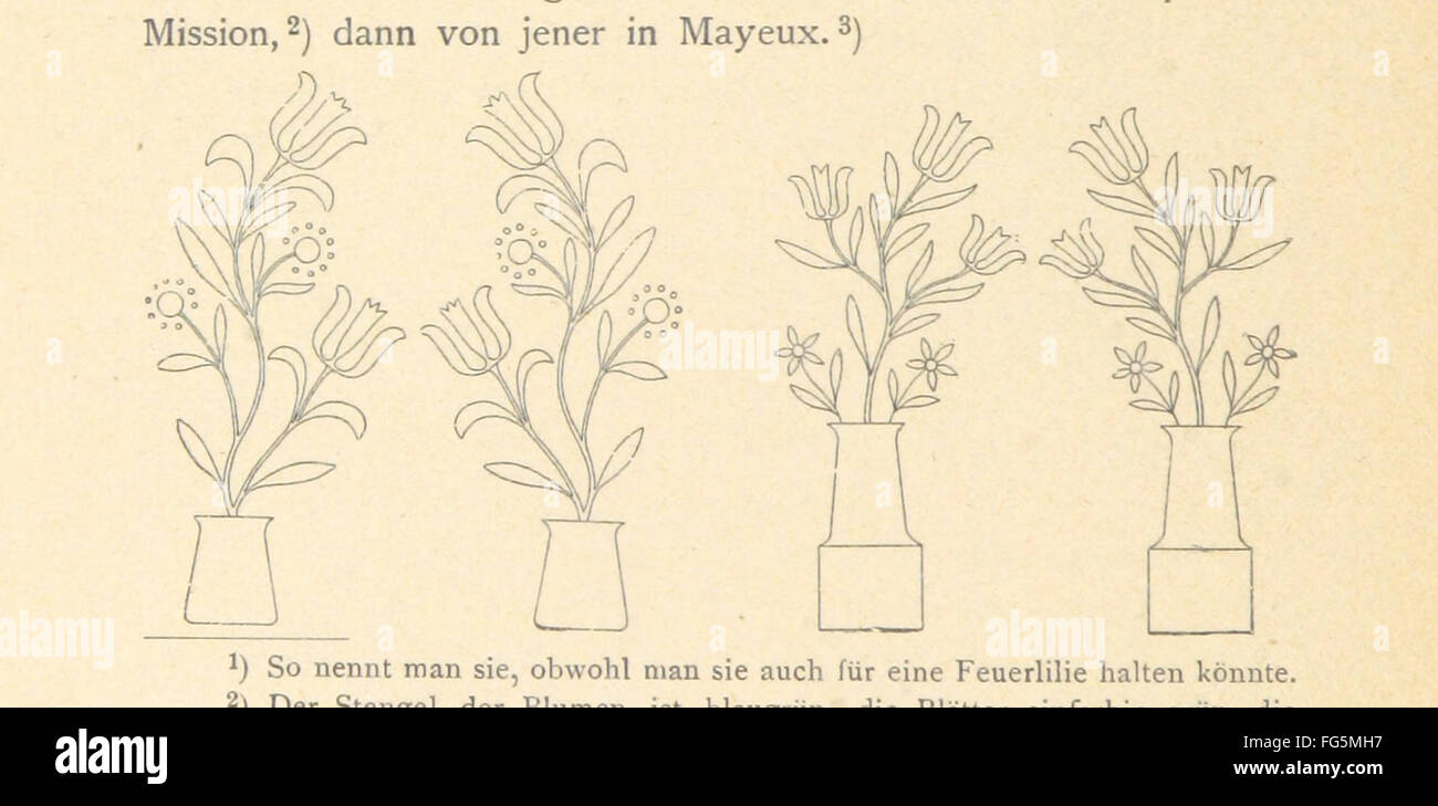 This book explores the history of the Huns in the Swiss Eifischthal ...