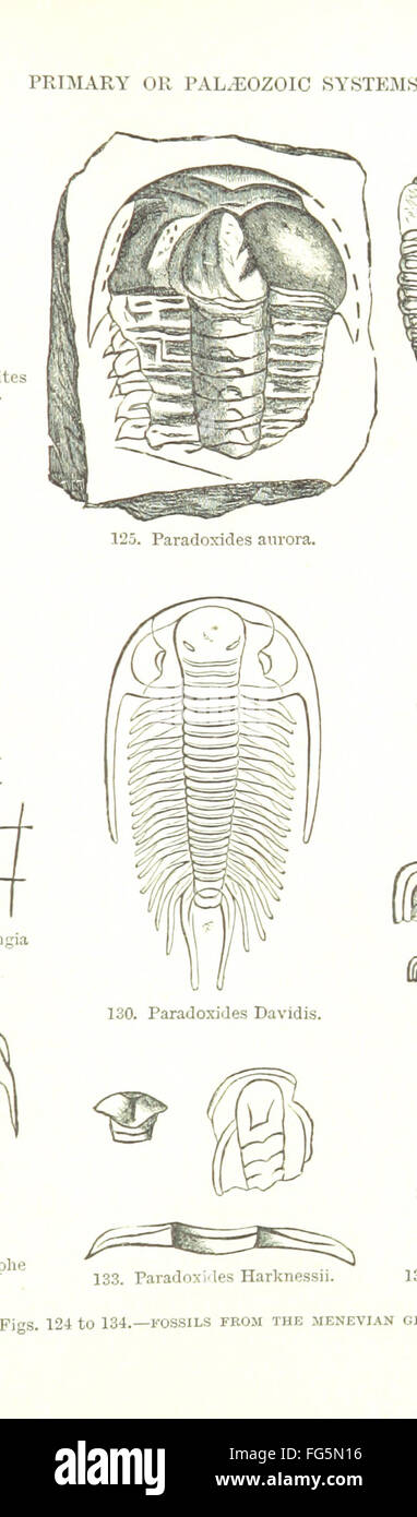 Foundational geological principles hi-res stock photography and images ...