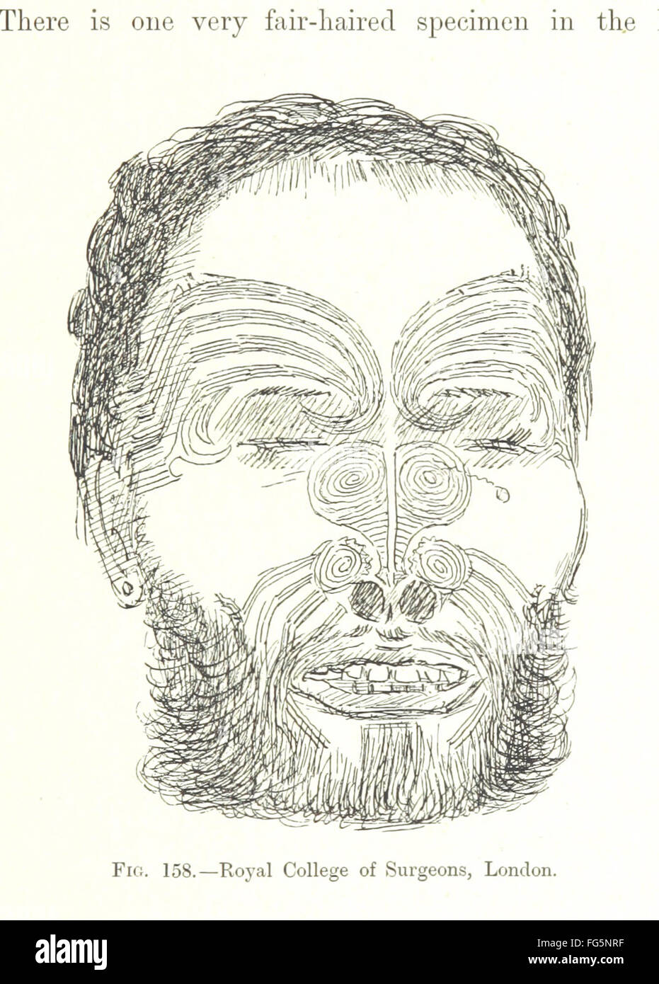 'Moko; or, Maori Tattooing' is a vintage book that explores the art and ...