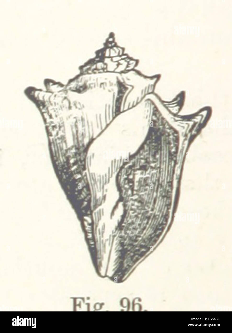 This vintage book serves as a practical guide to geology, providing ...