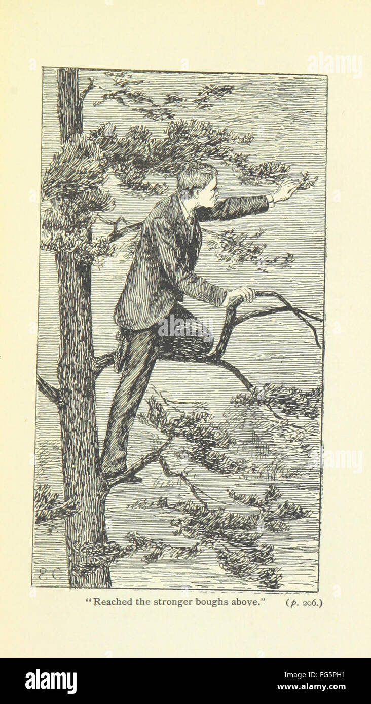 17 of 'The Story of a Fool and his Folly' Stock Photo - Alamy