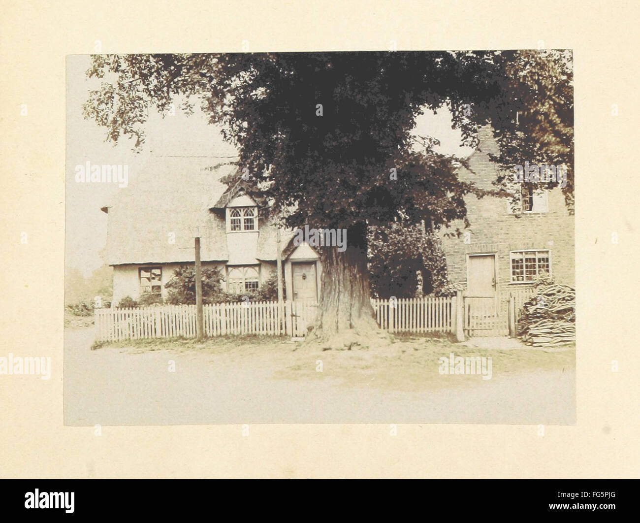 'A History of Great Gransden' provides a comprehensive historical ...