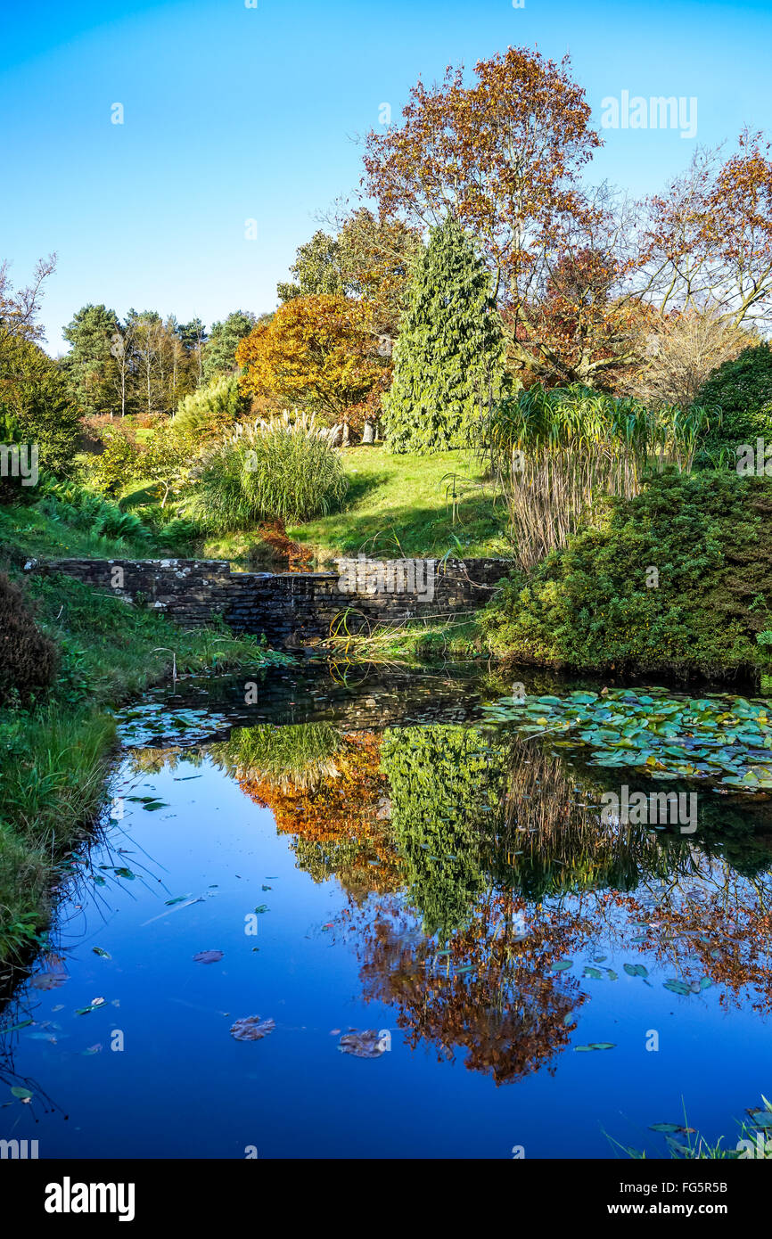 High beeches handcross hi-res stock photography and images - Alamy