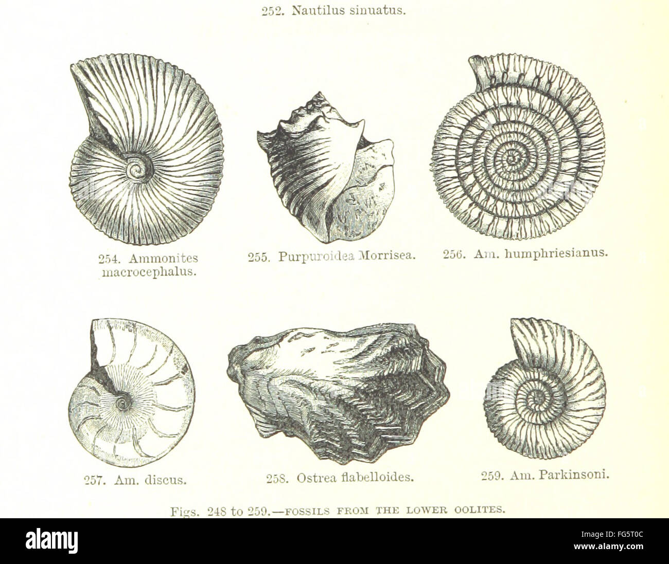 This second edition of 'Outlines of Geology' provides a detailed ...