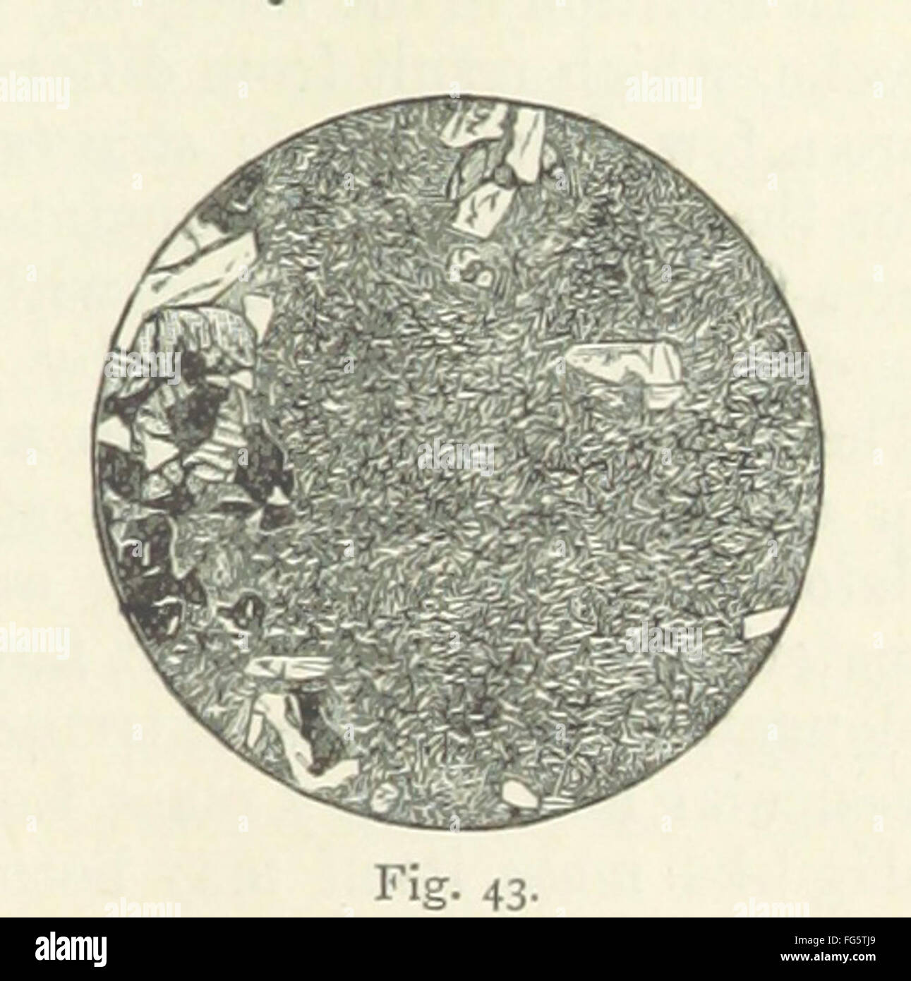 'An Intermediate Text-Book of Geology' by C. Lapworth builds on David's ...