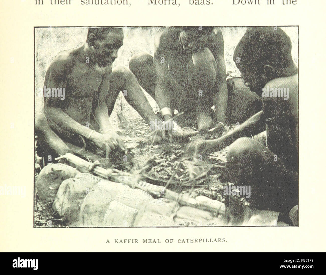 'In New South Africa' explores the regions of Transvaal and Rhodesia ...