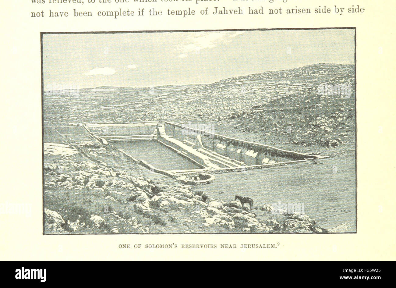 'The Struggle of the Nations' offers a historical analysis of the ...