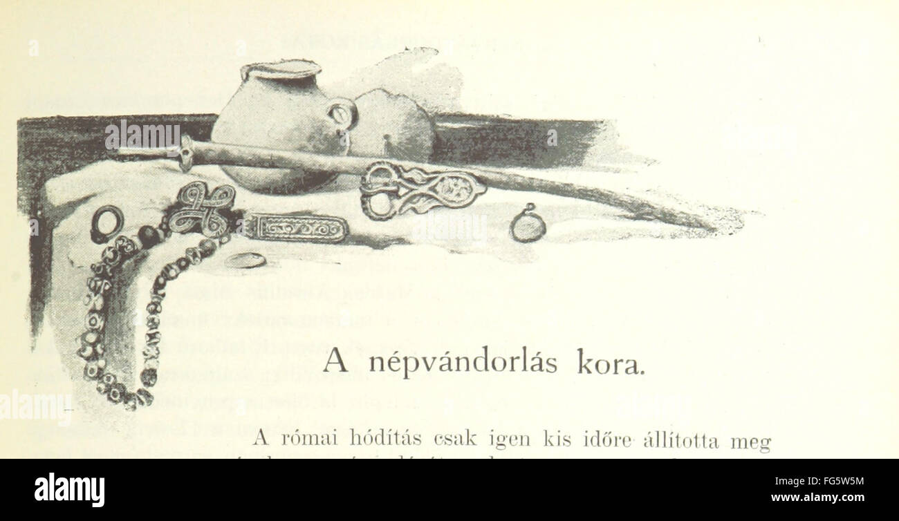 This work delves into the history and present of Baranya, a region in ...