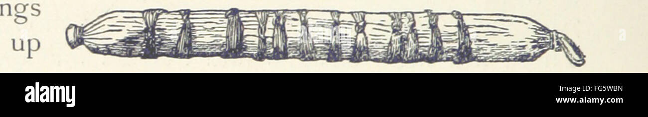 'The Victoria Nyanza' explores the geography, peoples, and cultures ...