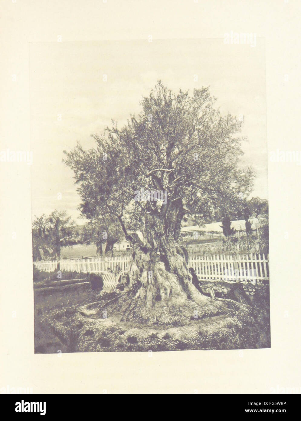 'In the Levant' explores the cultures, history, and landscapes of the ...