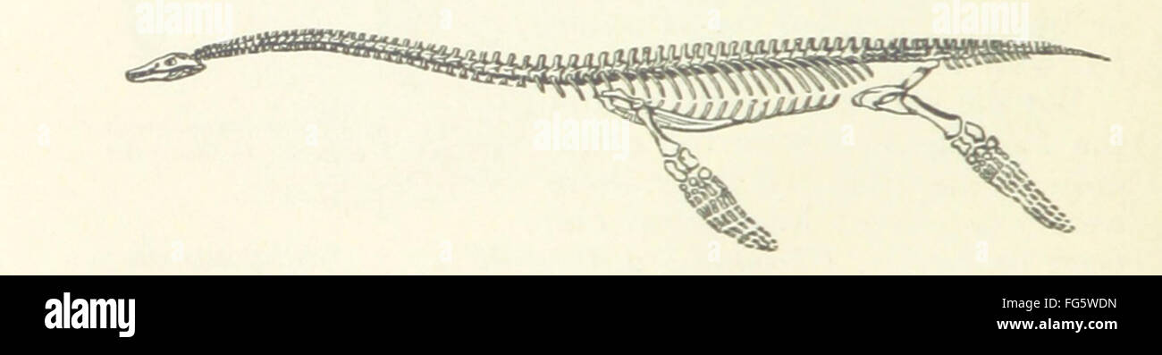 An intermediate-level geology textbook by C. Lapworth, building on ...