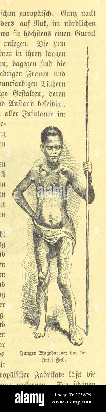 This German-language book discusses the human races, providing an in ...