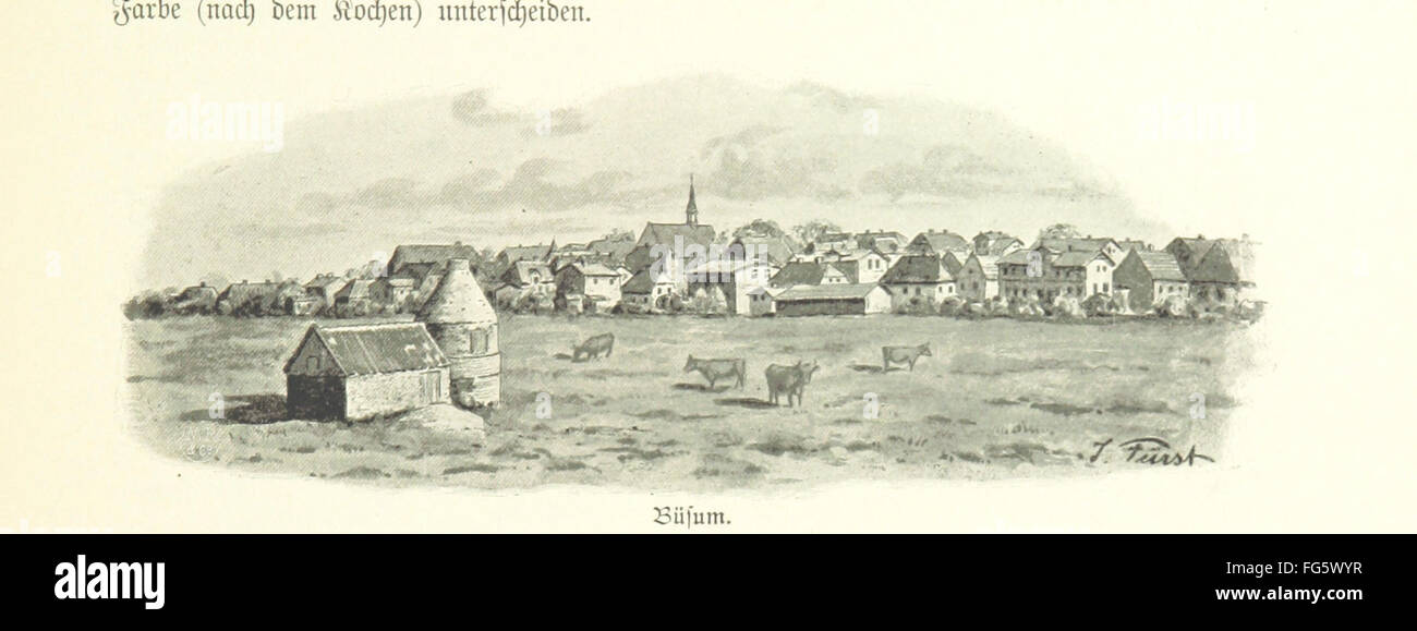 This illustrated book delves into the Schleswig-Holstein region of ...