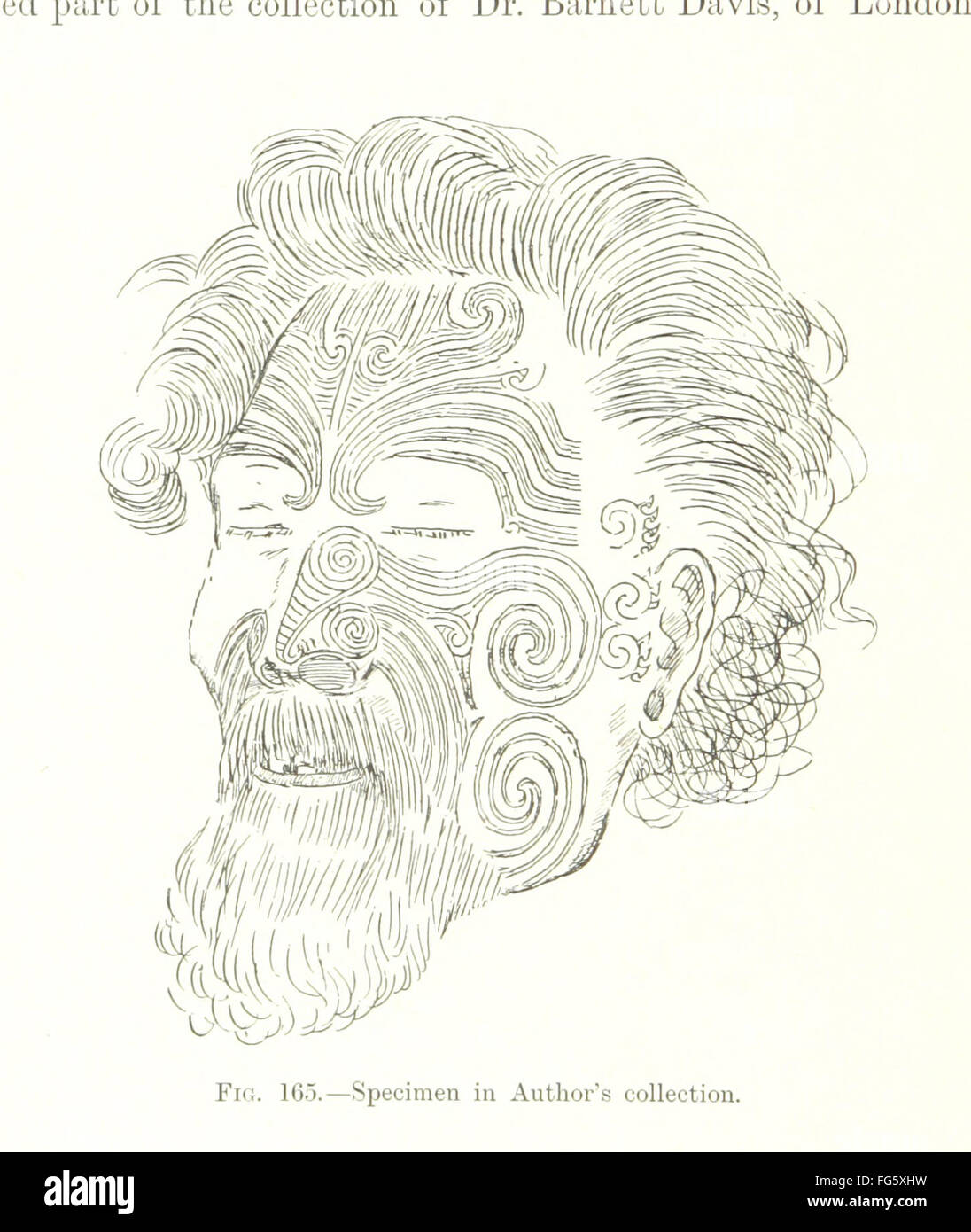 'Moko; or, Maori Tattooing' explores the art and cultural significance ...