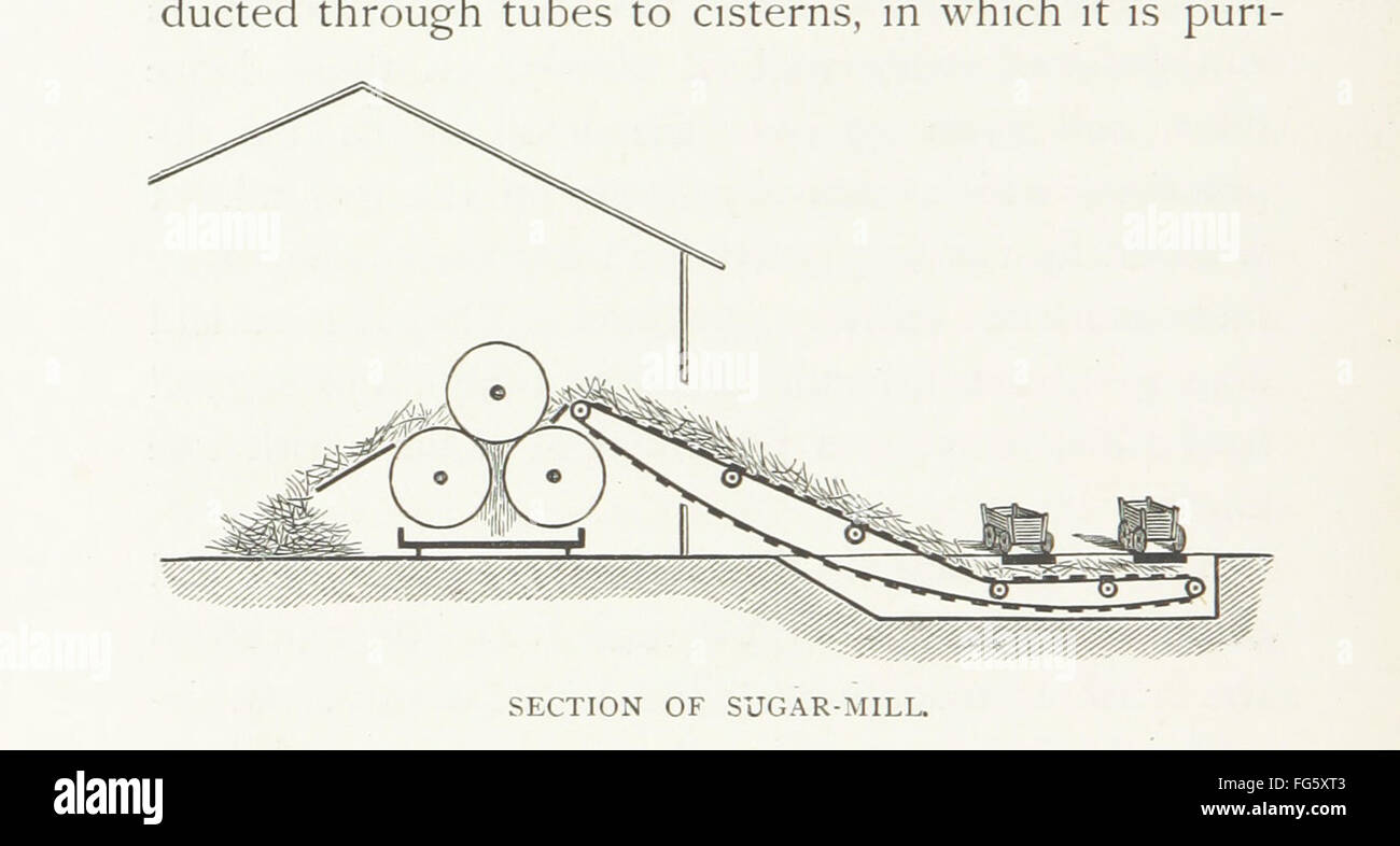 'In Savage Isles and Settled Lands' recounts the travels of an explorer ...