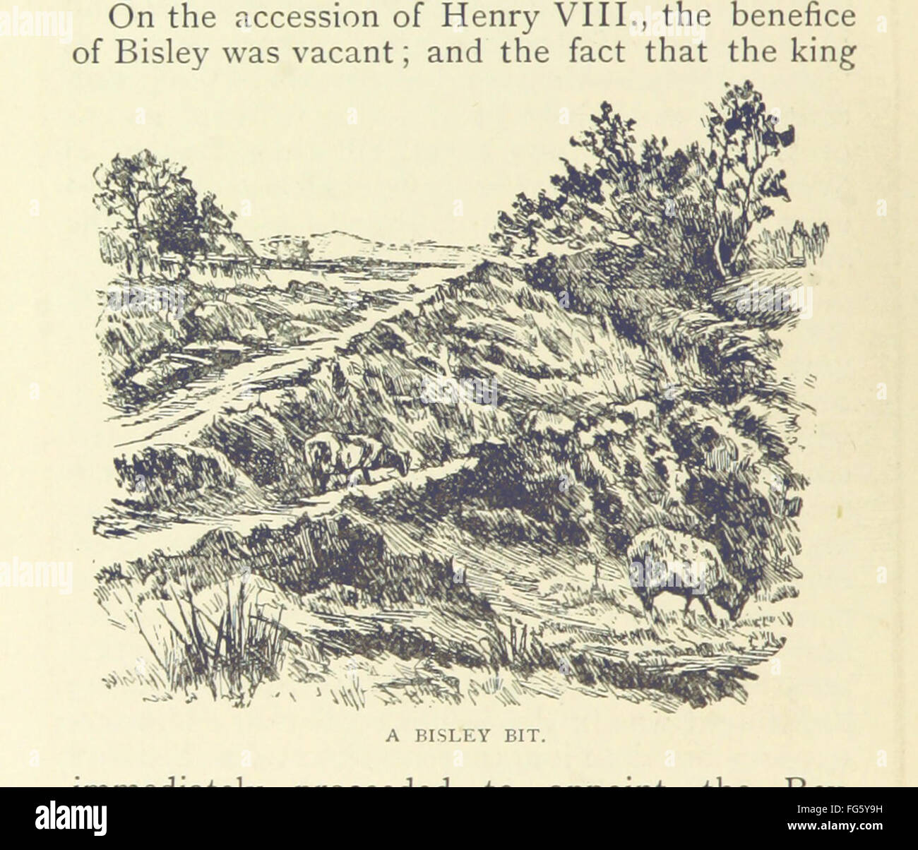 'Bisley Bits' is a collection of stories and records from the Surrey ...
