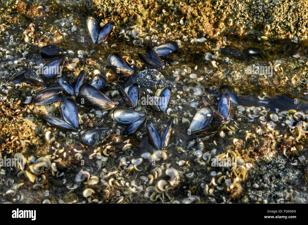 Full rock hi-res stock photography and images - Alamy