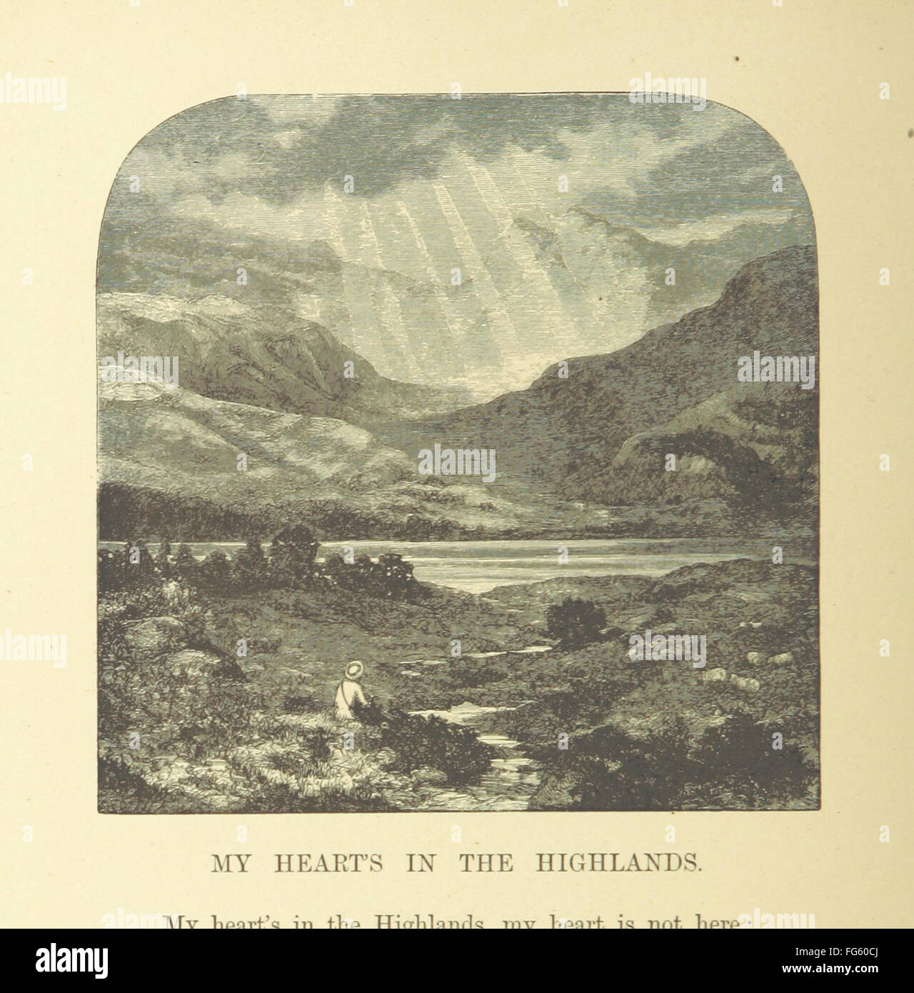 This edition of 'The Illustrated Family Burns' includes engravings and ...