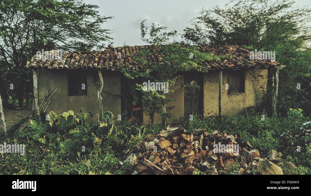 Small Hut High Resolution Stock Photography and Images - Alamy