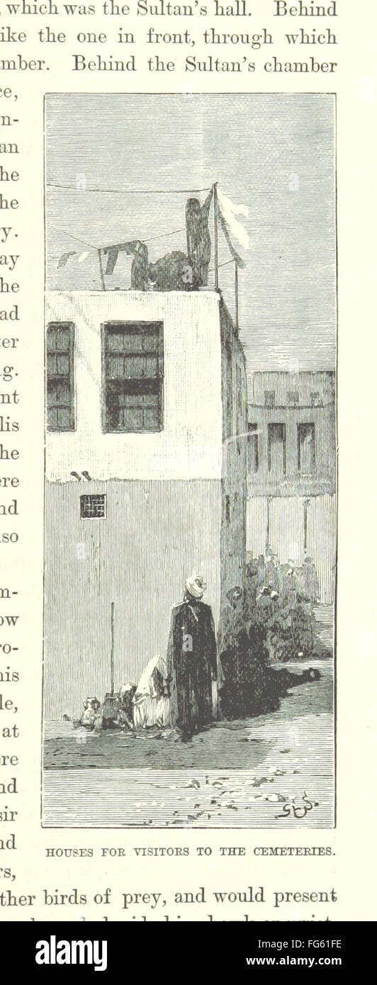 15 of 'Cairo; sketches of its history, monuments, and social life ...