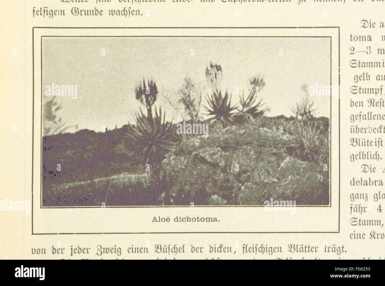 'Nama und Damara' focuses on the indigenous Nama and Damara peoples of ...