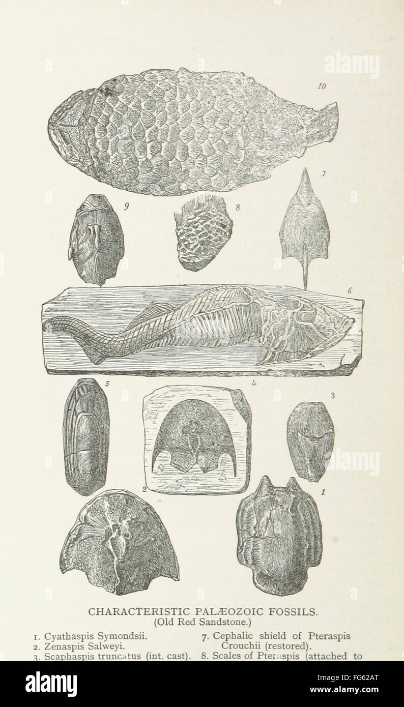 Educational introduction study geology hi-res stock photography and ...