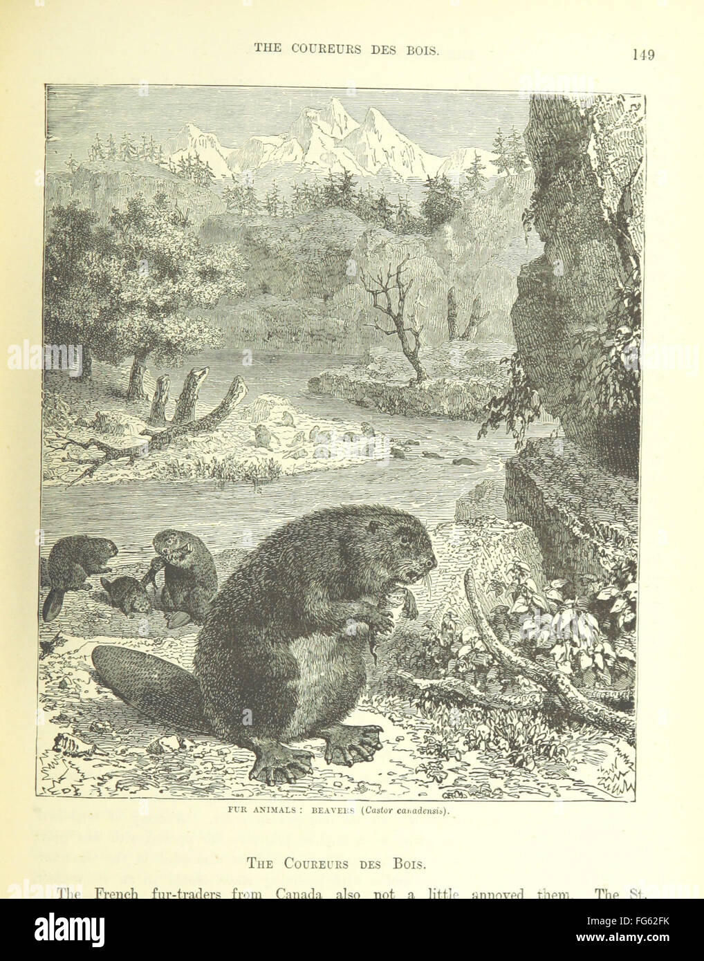 This vintage book provides a detailed description of the countries of ...