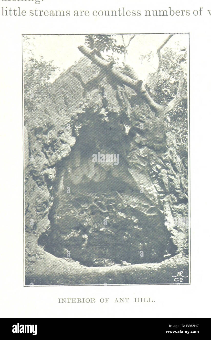 'In Dwarf Land and Cannibal Country' is a travel and discovery record ...