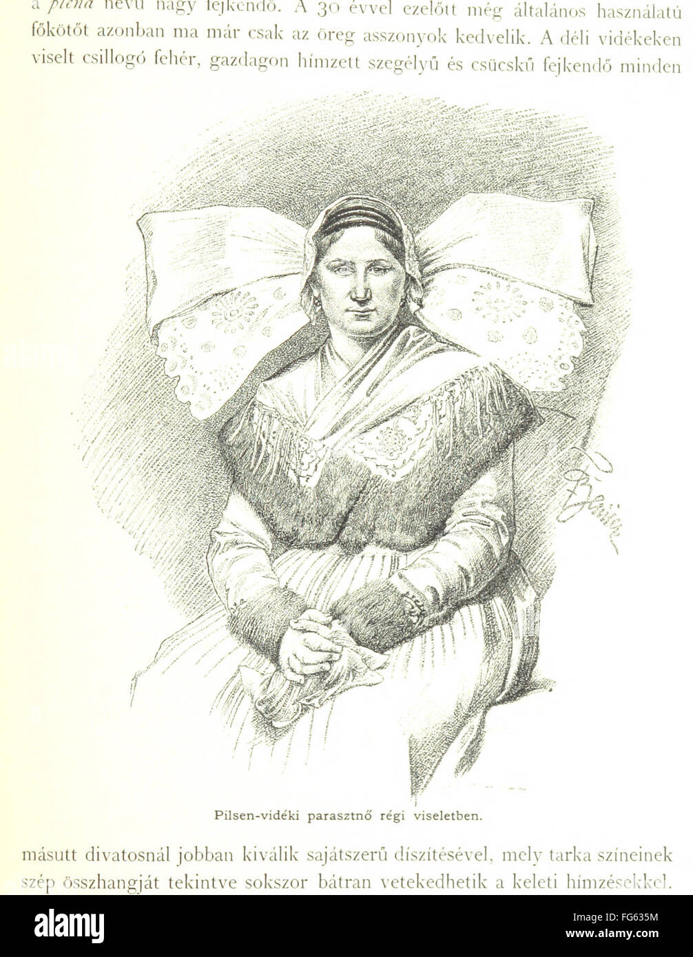 This vintage book presents a detailed overview of the Austro-Hungarian ...
