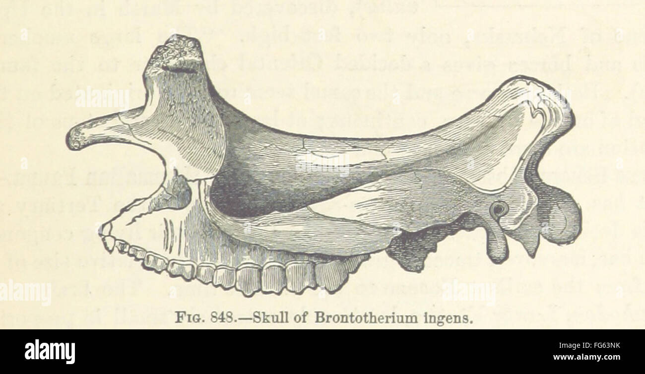 This vintage textbook on geology covers the essential elements of the ...