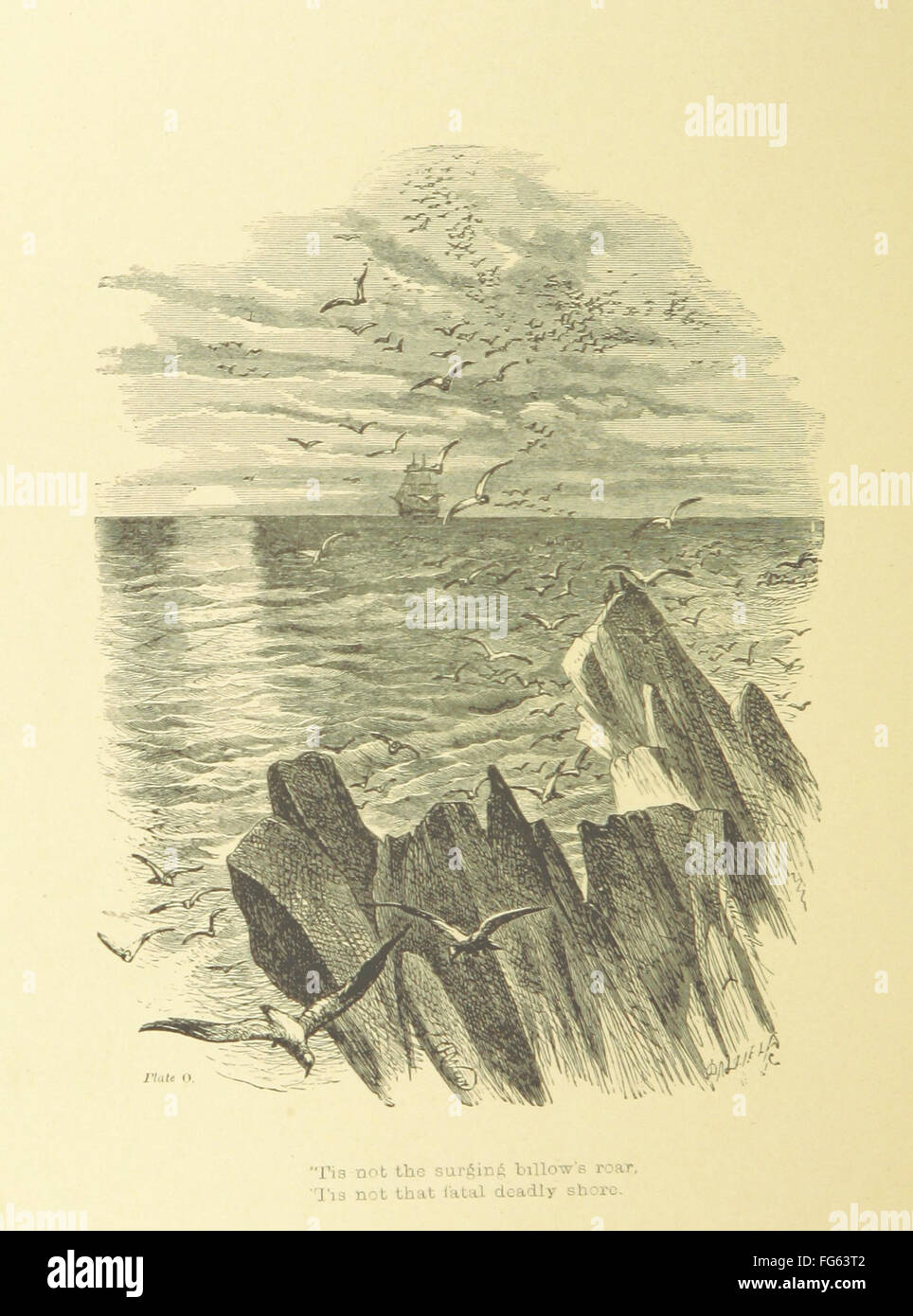 48 of 'The Illustrated Family Burns, with an original memoir. [With ...