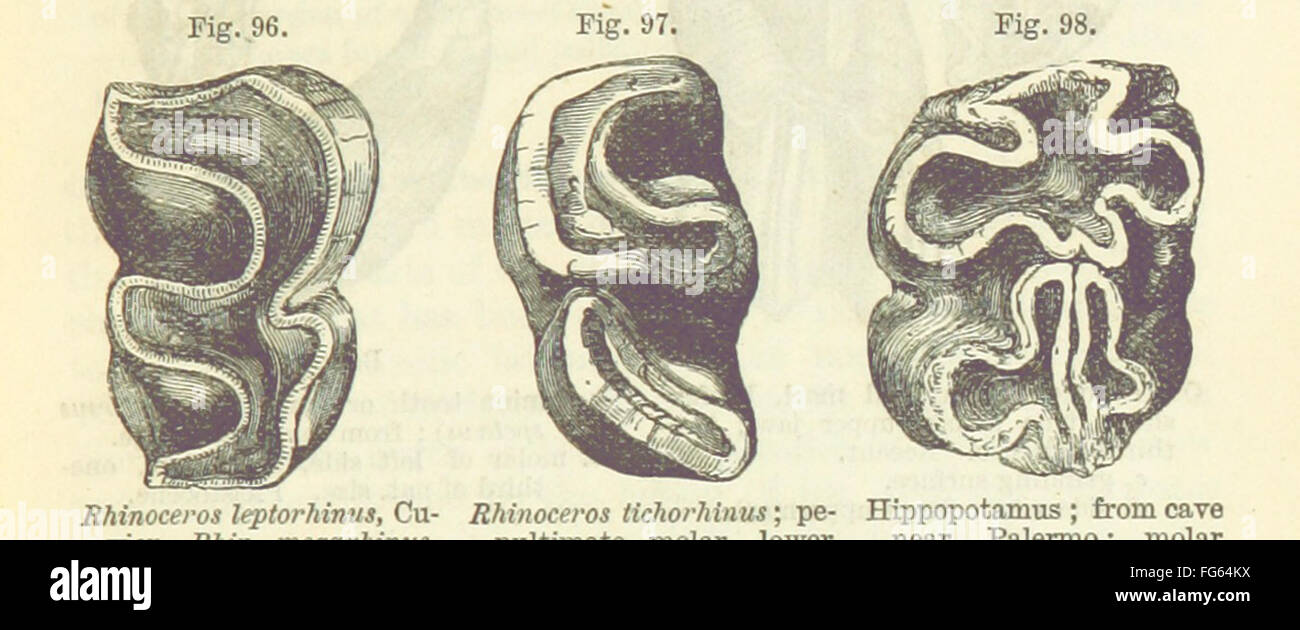 This vintage book, 'The Student’s Elements of Geology,' provides an ...