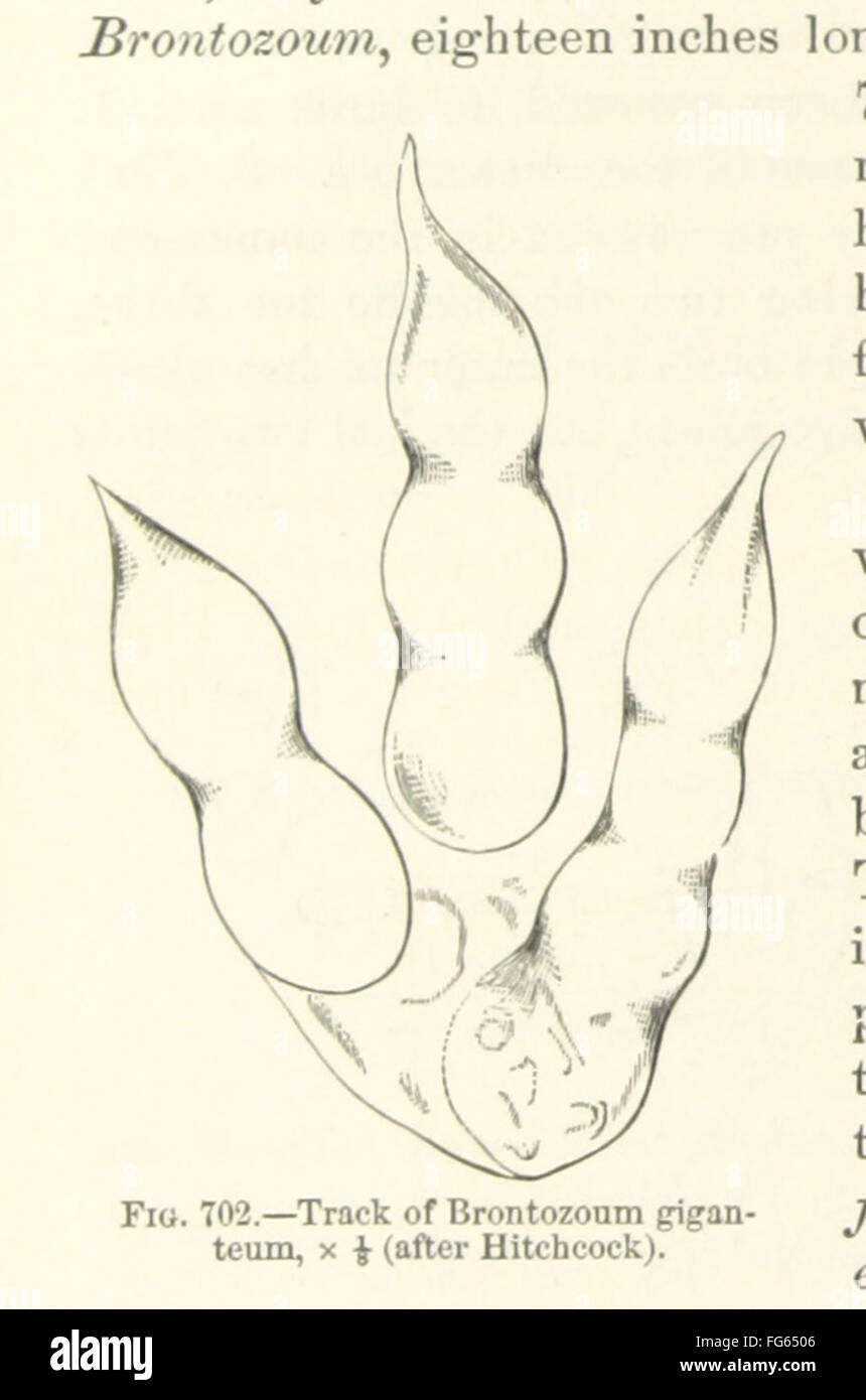 'Elements of Geology' serves as a comprehensive introduction to the ...