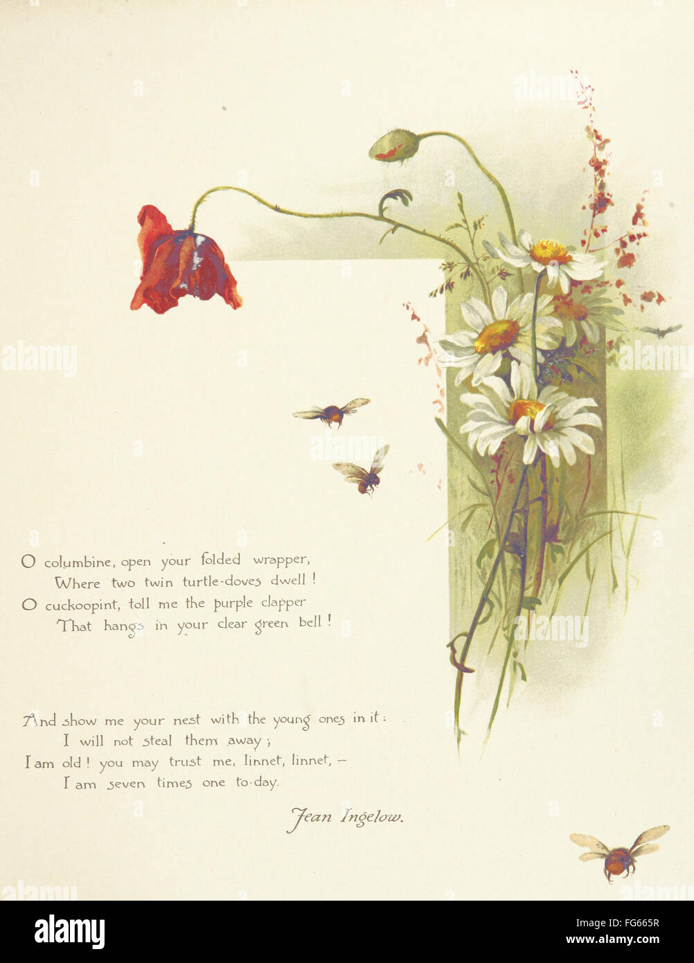 This vintage collection, 'Through Woodland and Meadow,' features poems ...
