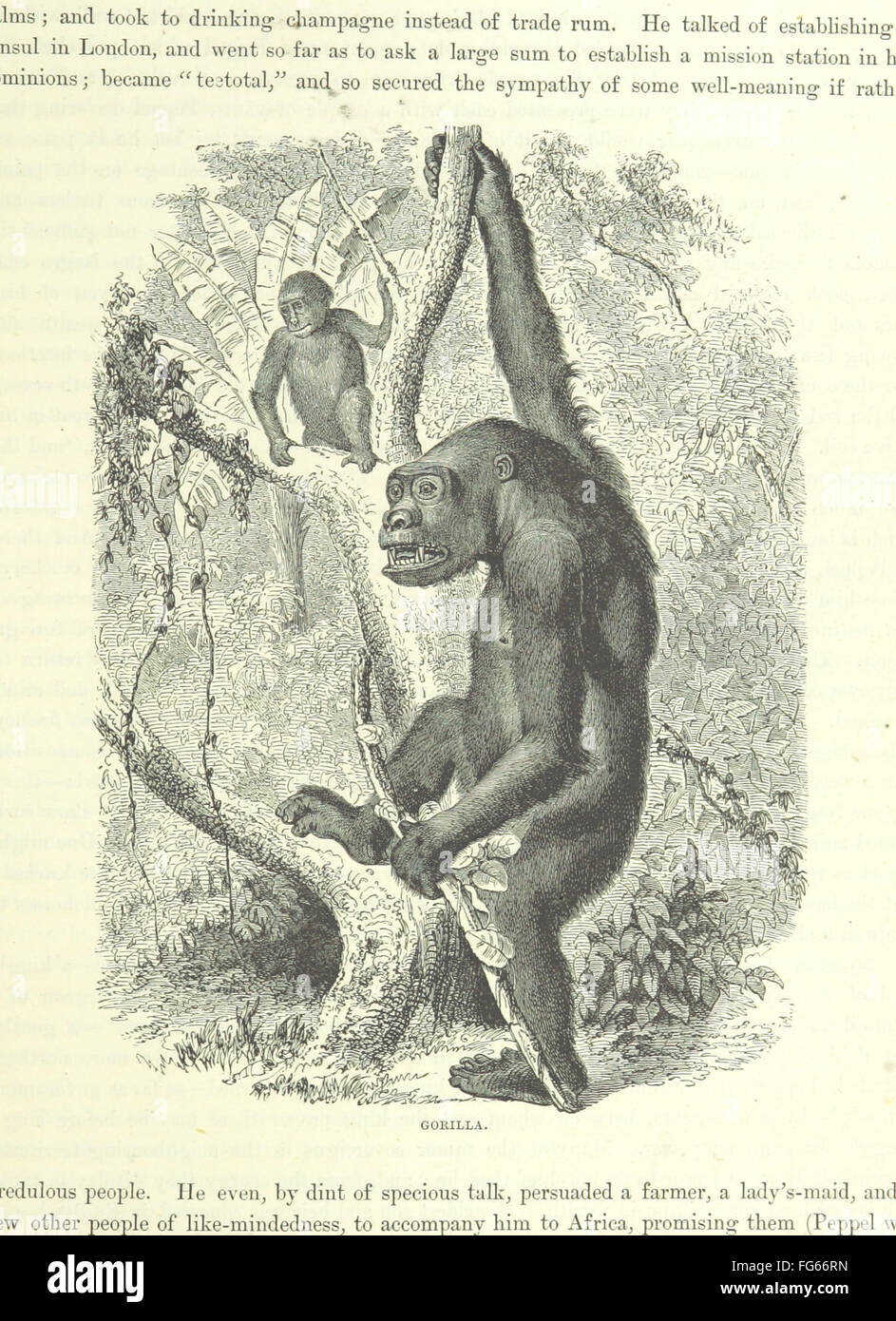 This book presents copies of the world map from the Borgia Museum, with ...