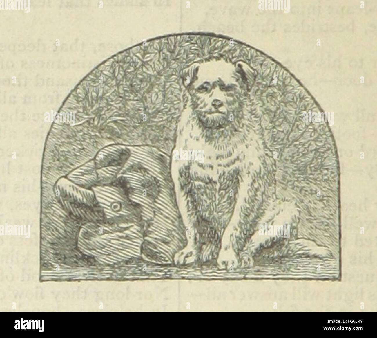 'The Poetical Works of Lord Byron' compiles the major poetry works of ...