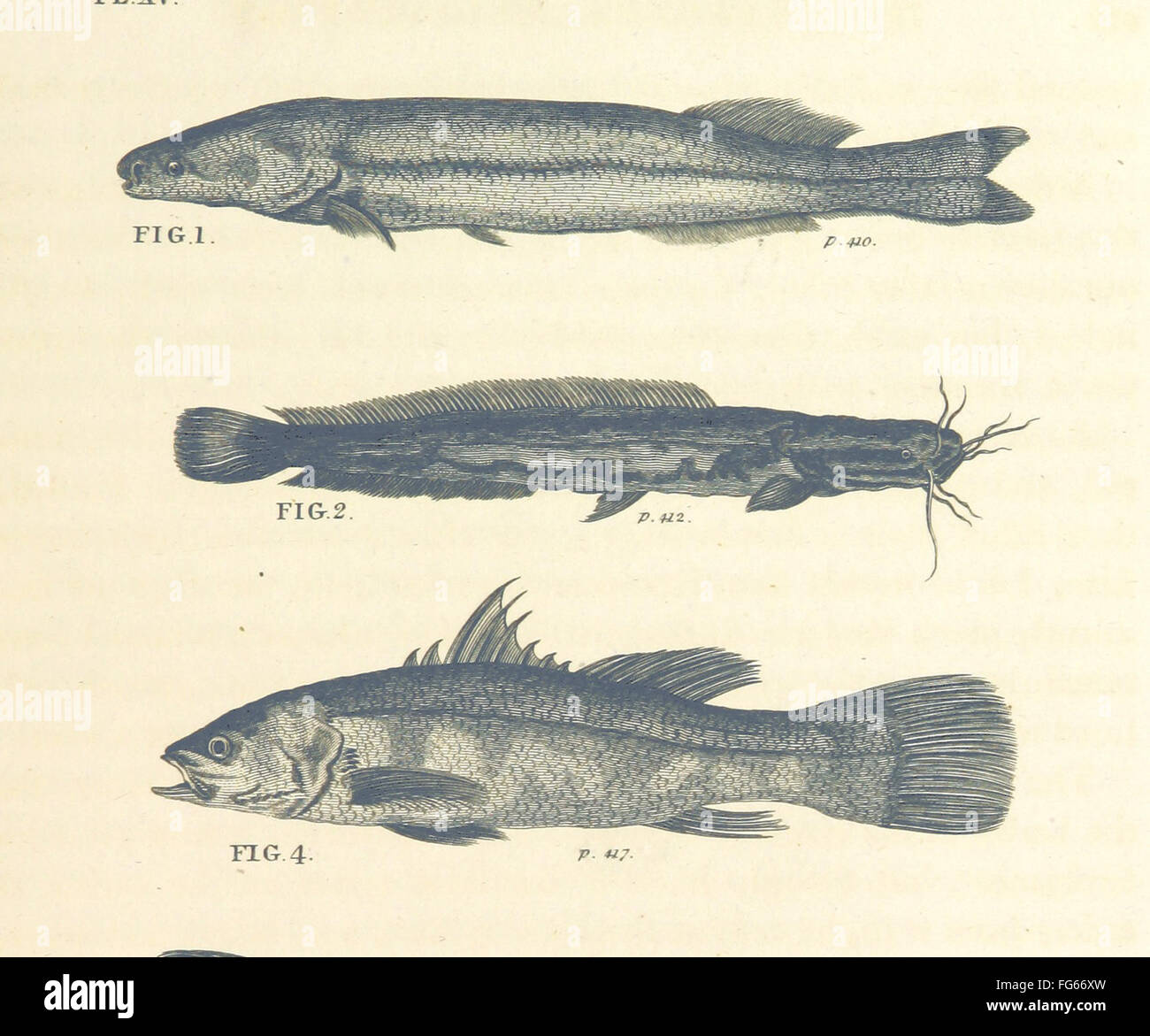 This travel account, translated from French, details the author's ...