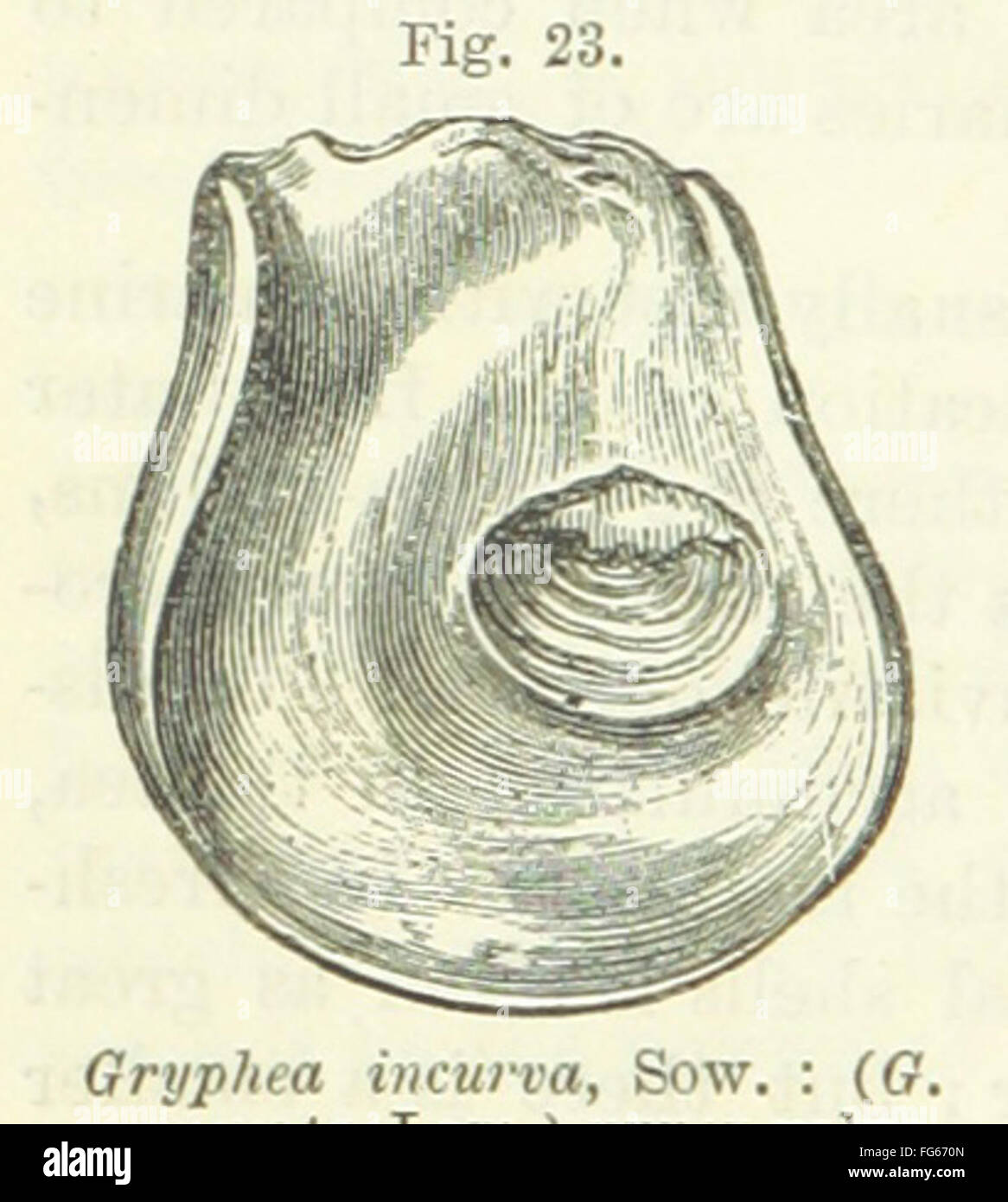 *The Student's Elements of Geology* is a vintage educational book aimed ...