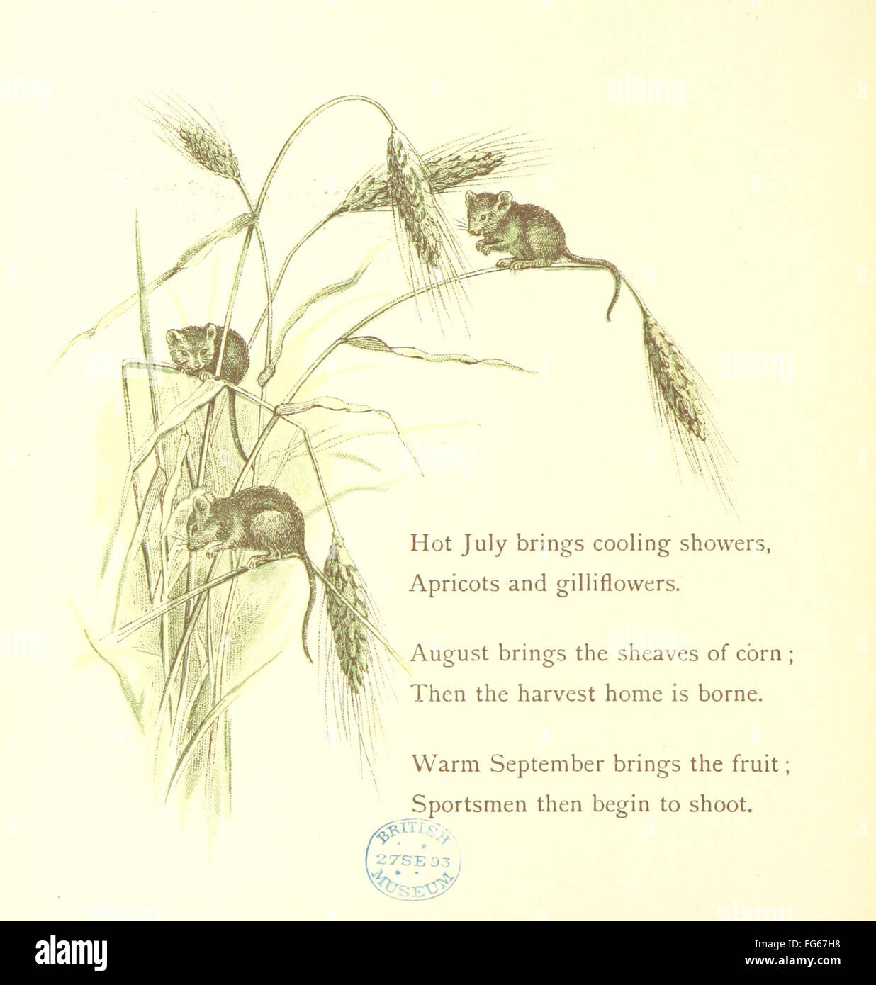 Book of nursery rhymes hi-res stock photography and images - Alamy